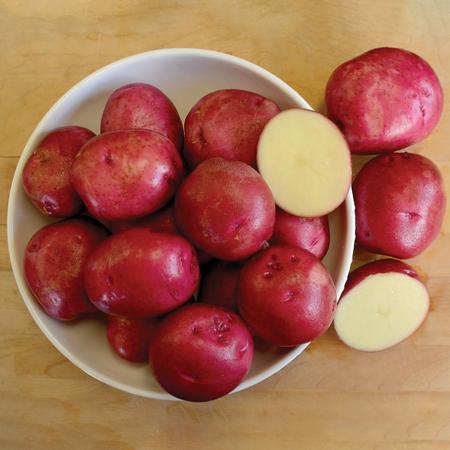 Potatoes - Red - Haroldson Farms