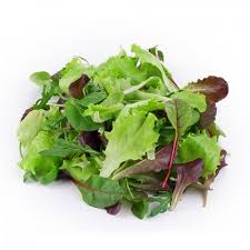 Lettuce Mix - Haroldson Farms