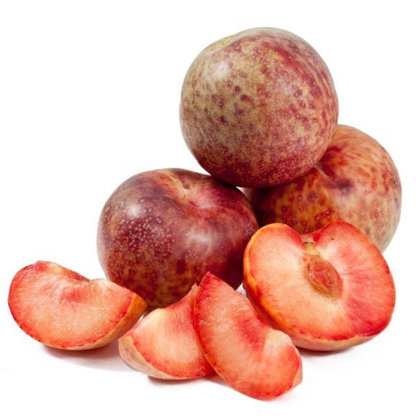 Pluot - Dapple Dandy - Haroldson Farms